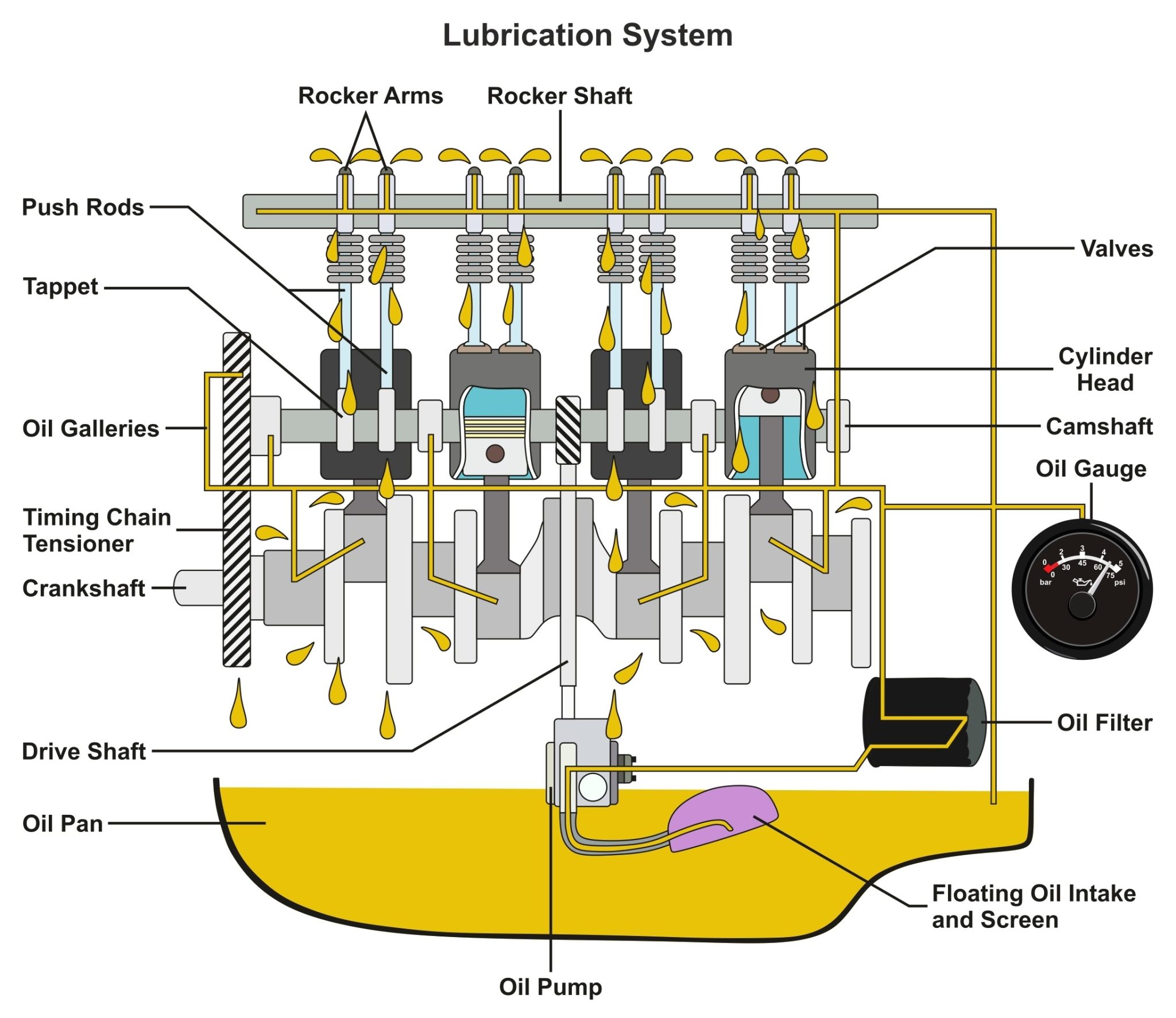 Air Compressor Leaking Oil: The Ultimate Troubleshooting and Repair Guide